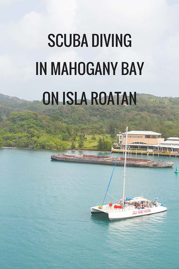 Scuba Diving in Mahogany Bay on Isla Roatan