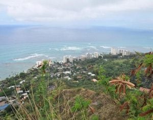 10 Ways to Spend One Day in Honolulu | Carnival Cruise Line