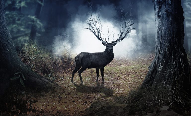 Creatures of Caribbean Folklore