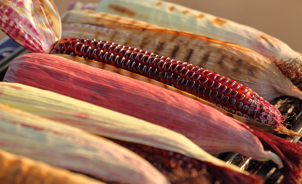 America’s Melting Pot: Creating New Food Through Mixing Cultures